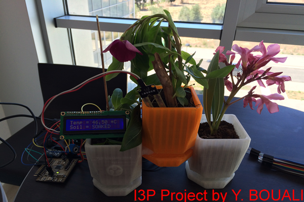 Fab Academy 2015 - Youssef BOUALI - Project I3P - Final Output